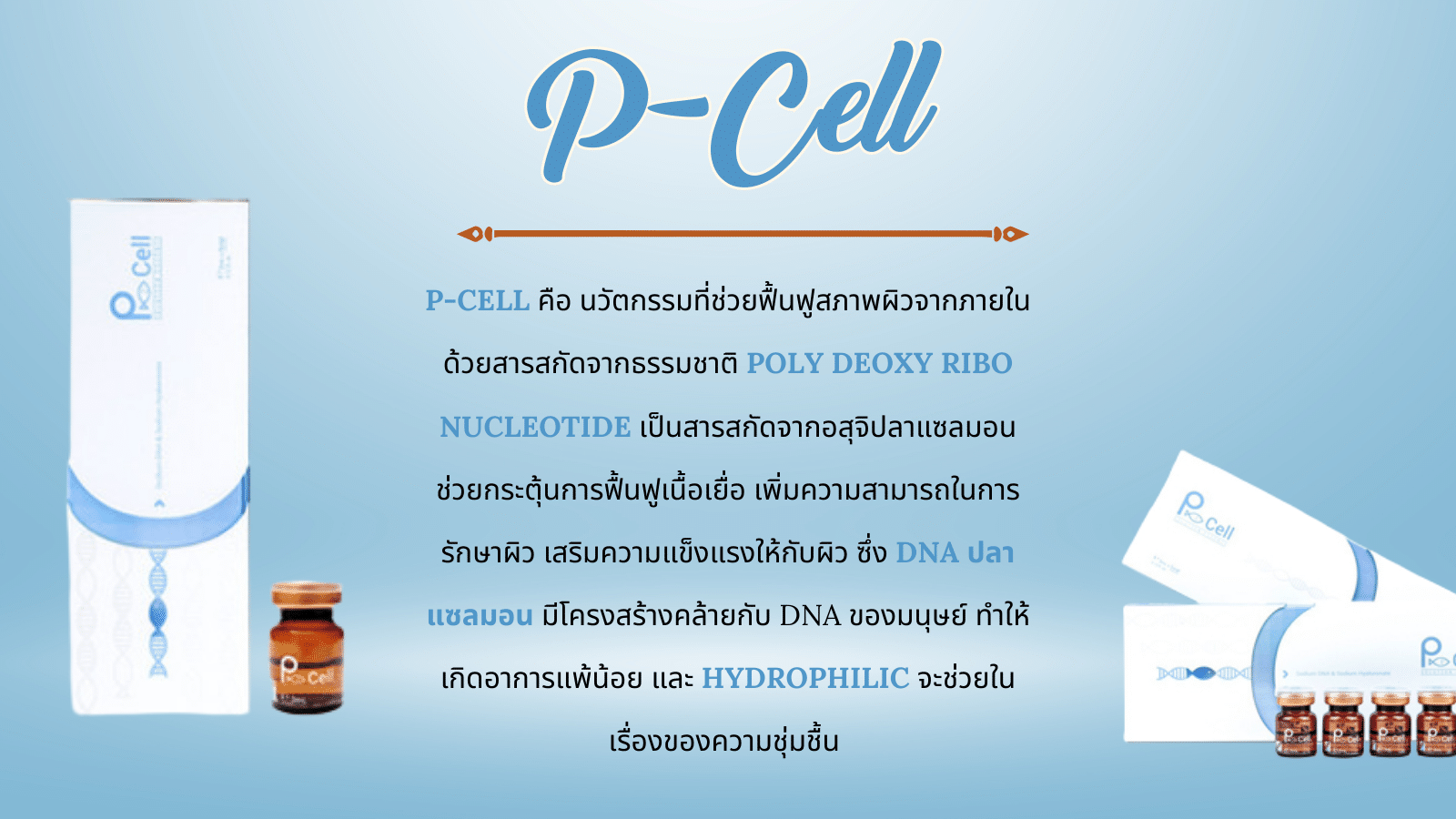 ฉีด P-Cell DNA ปลาแซลมอน ดีไหม ? ช่วยเรื่องอะไรบ้าง